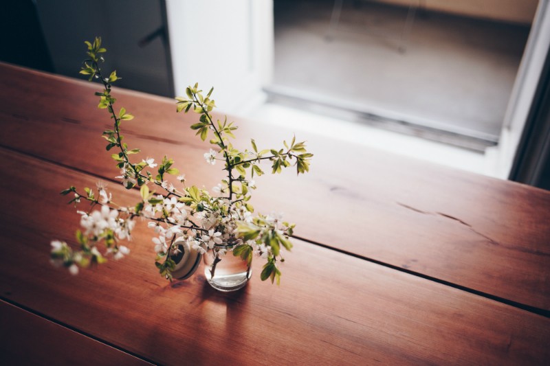 Kirschholz und seine Eigenschaften - Wohnpalast Magazin